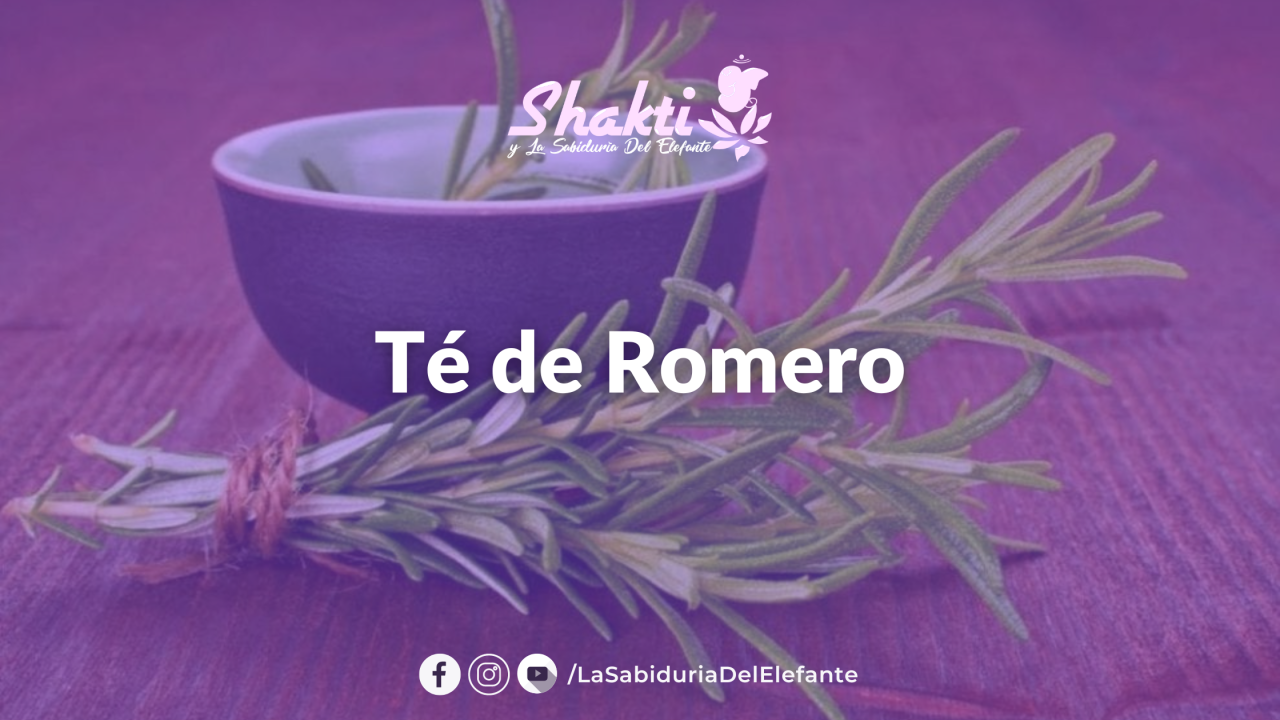 Receta- Té de Romero | La Sabiduría del Elefante